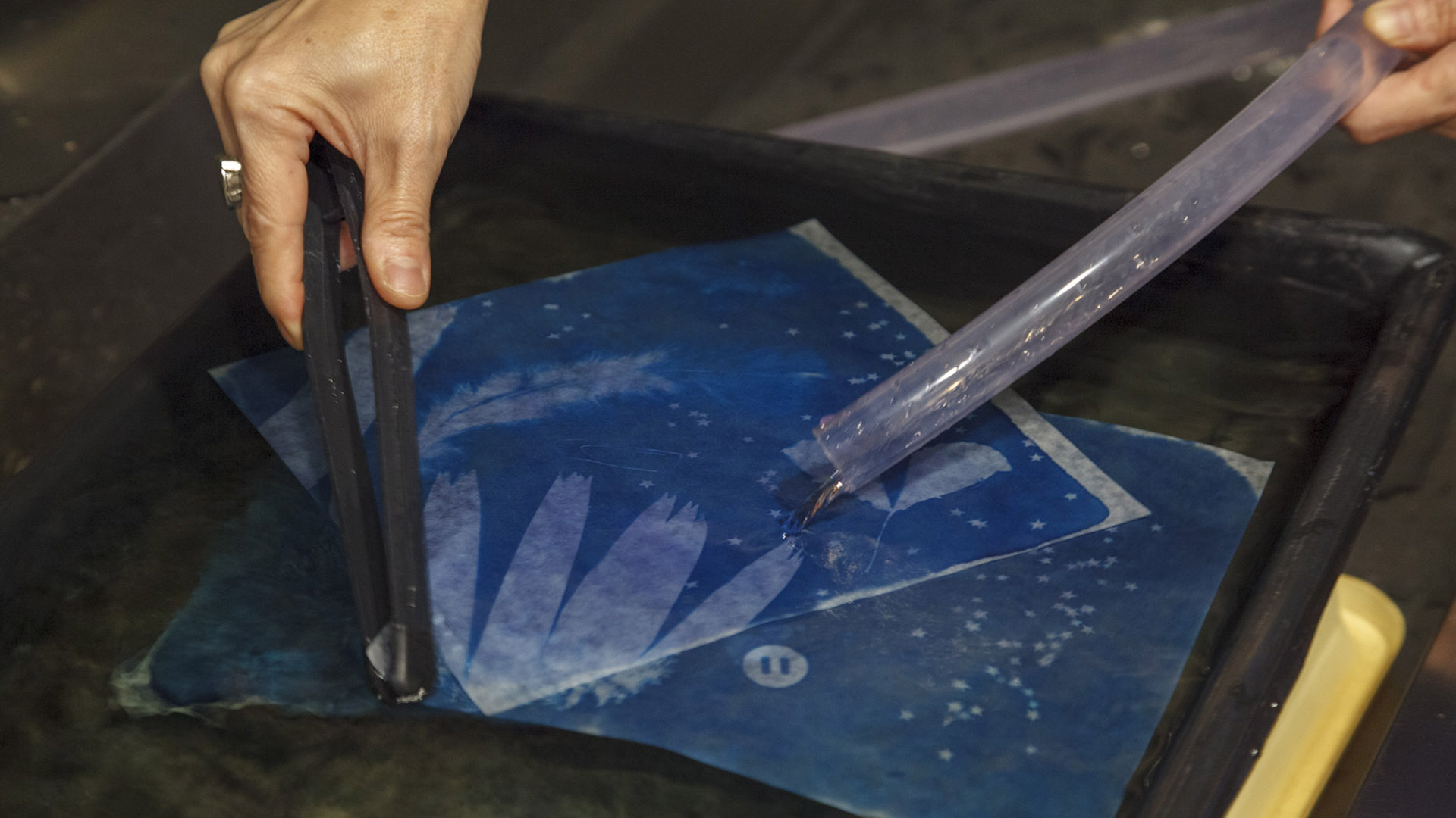 Brincando de cianotipia - Instituto Moreira Salles