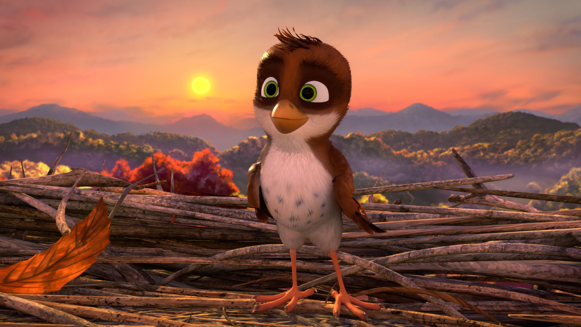 Missão Cegonha - Instituto Moreira Salles